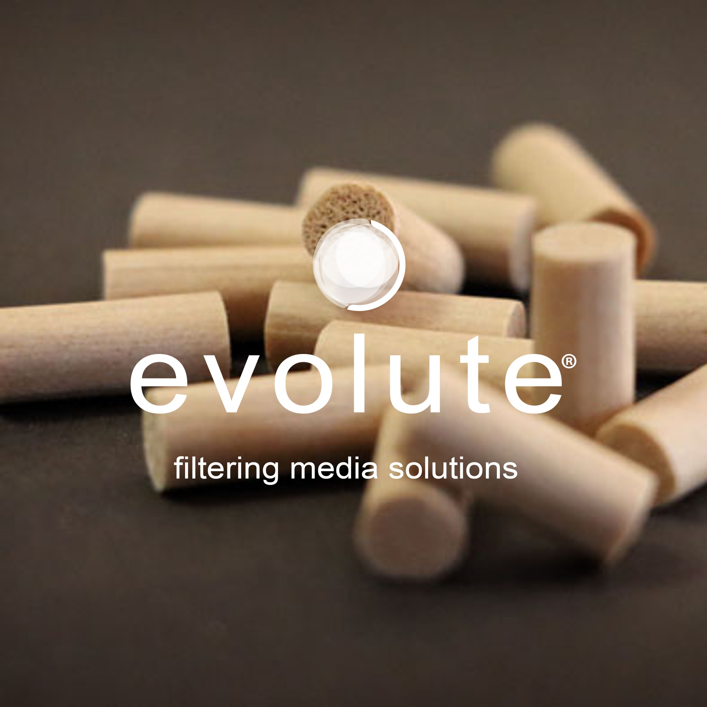 SWM | Sustainable, Safe, and Intelligent Lightweight Materials