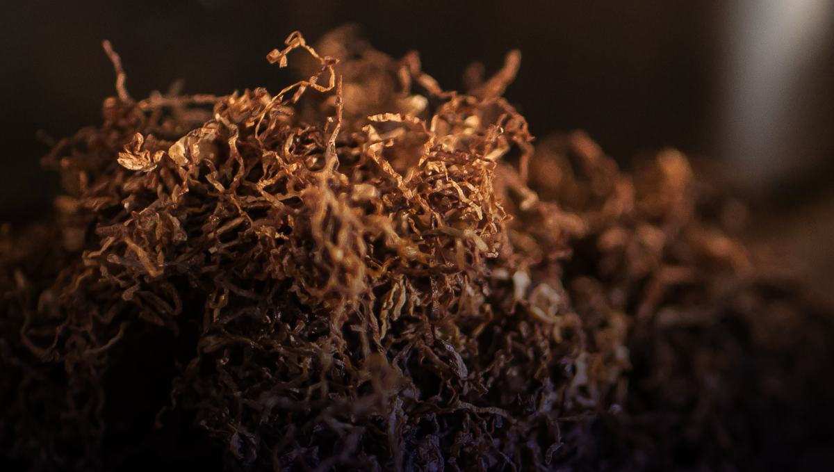 Reconstituted Tobacco Filler | SWM